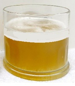 Berliner Weisse del birrificio Canediguerra